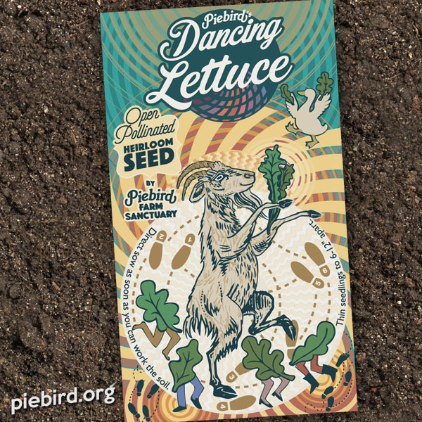 Dancing Lettuce – Piebird’s Heirloom Seeds – Piebird Farm Sanctuary – shop